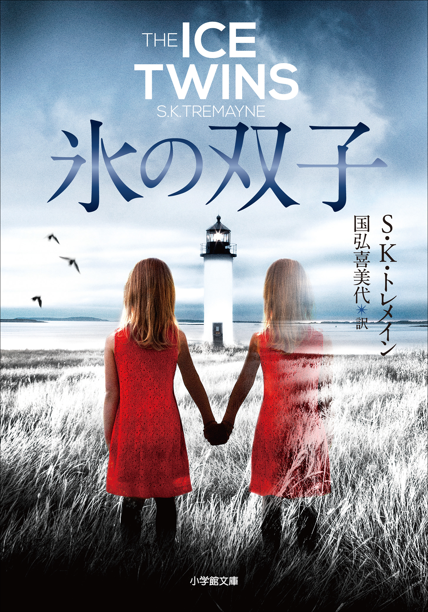 氷の双子 THE ICE TWINS(書籍) - 電子書籍 | U-NEXT 初回600円分無料