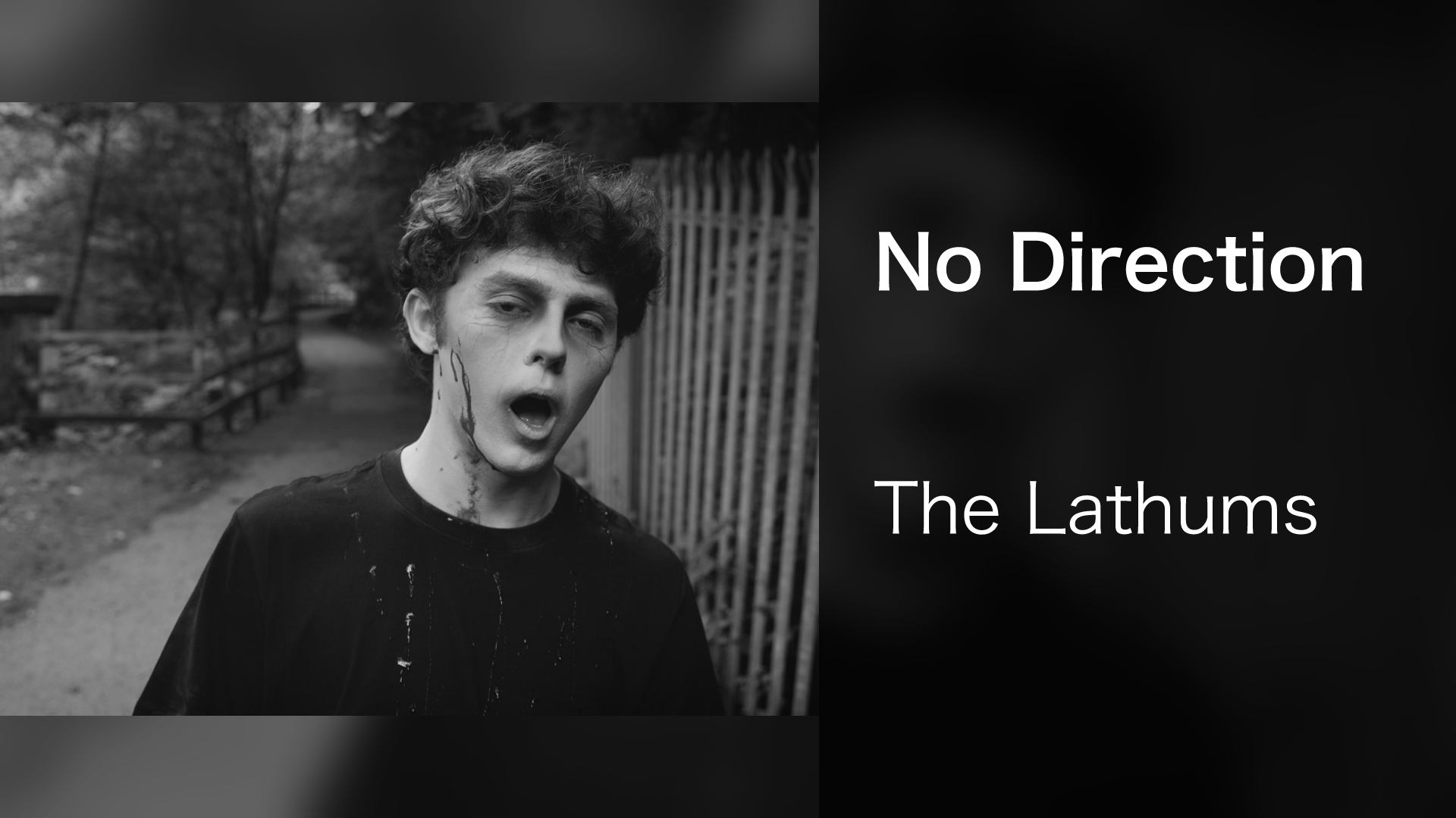 No Direction(音楽・ライブ / 2024) - 動画配信 | U-NEXT 31日間無料トライアル