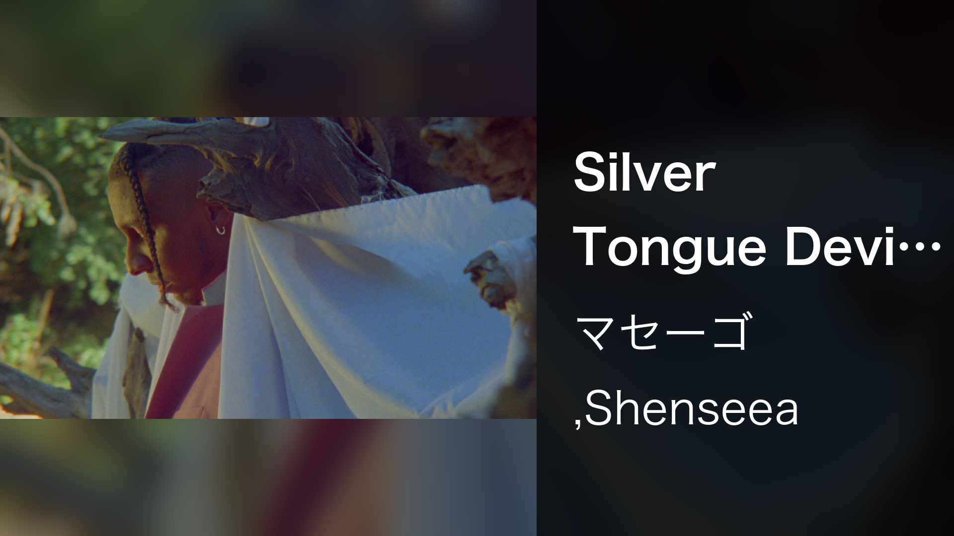 Silver Tongue Devil (Visualizer)(音楽・ライブ / 2020) - 動画配信 | U-NEXT 31日間無料トライアル