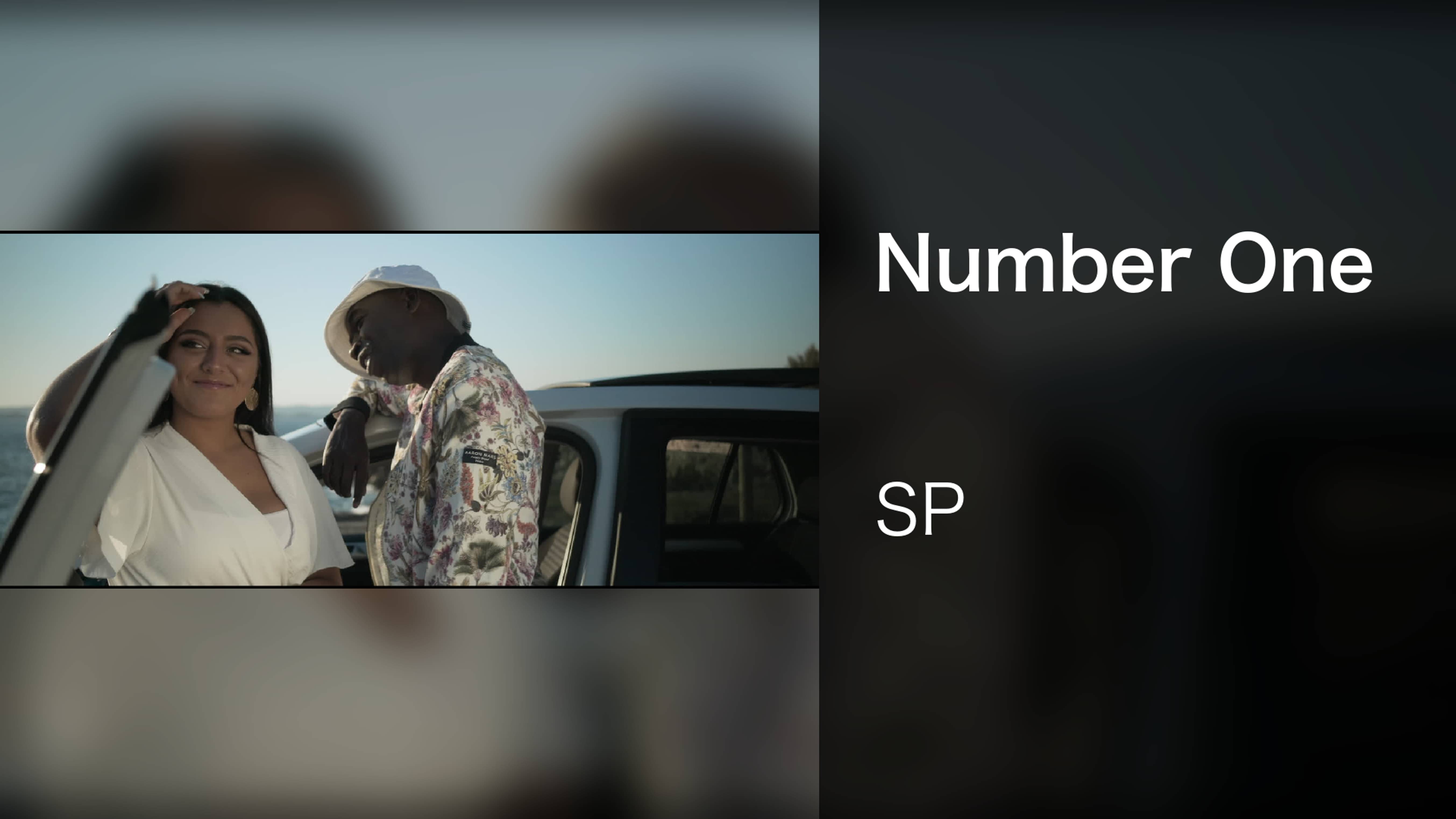 SPの作品一覧 | U-NEXT 31日間無料トライアル