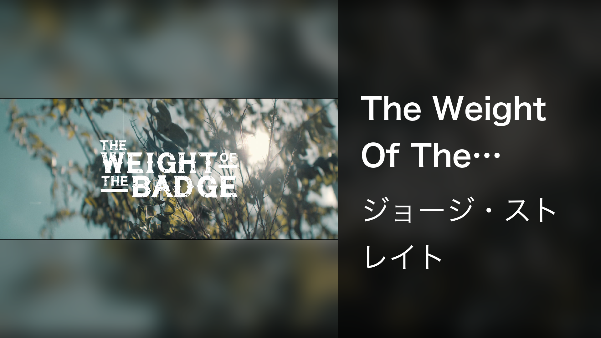 The Weight Of The Badge (Captain - BCI, Robert B. Appleton & Randi ...