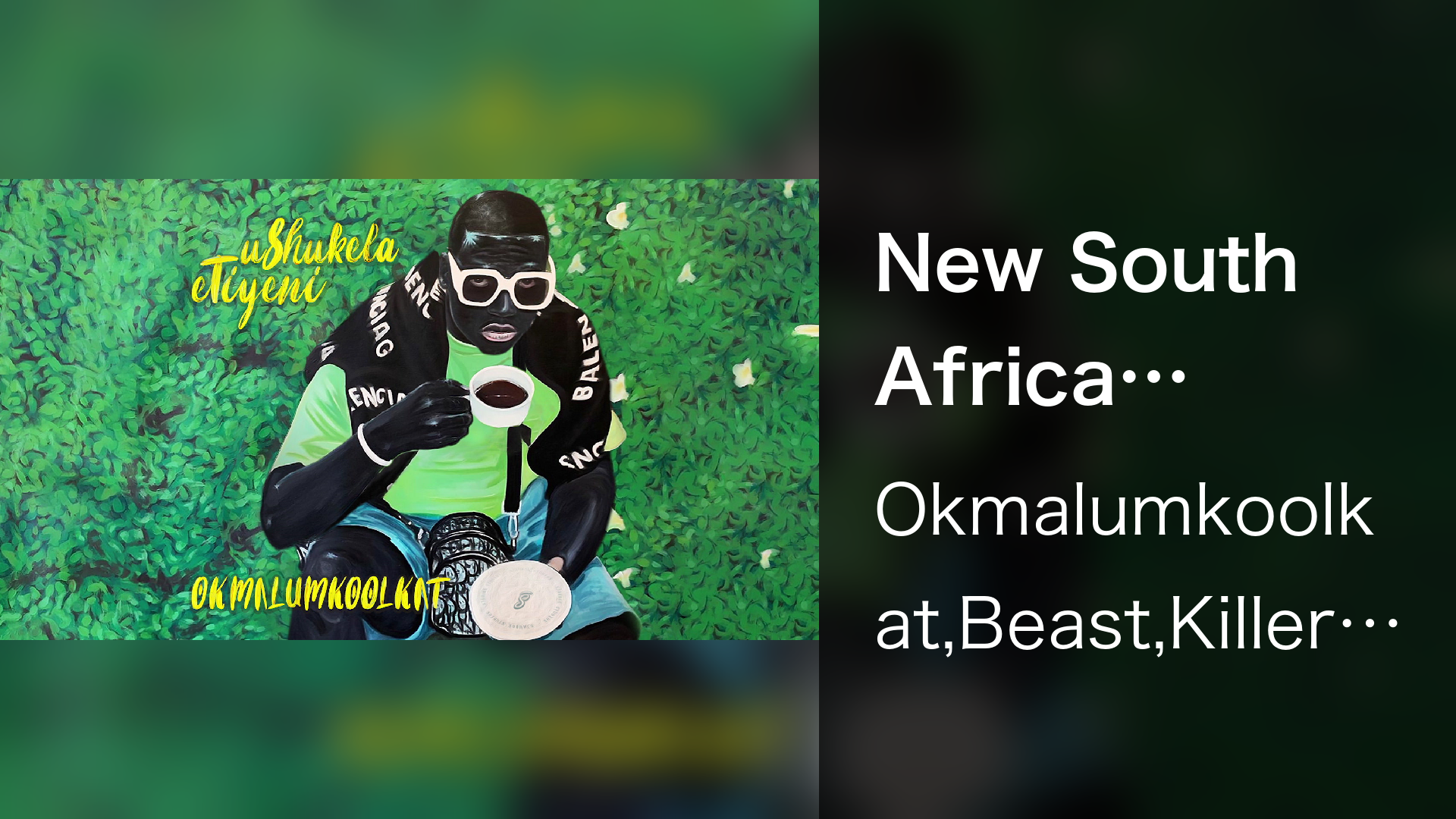 New South Africa Entsha (Visualizer)(音楽・ライブ / 2022) - 動画配信 | U-NEXT 31 ...