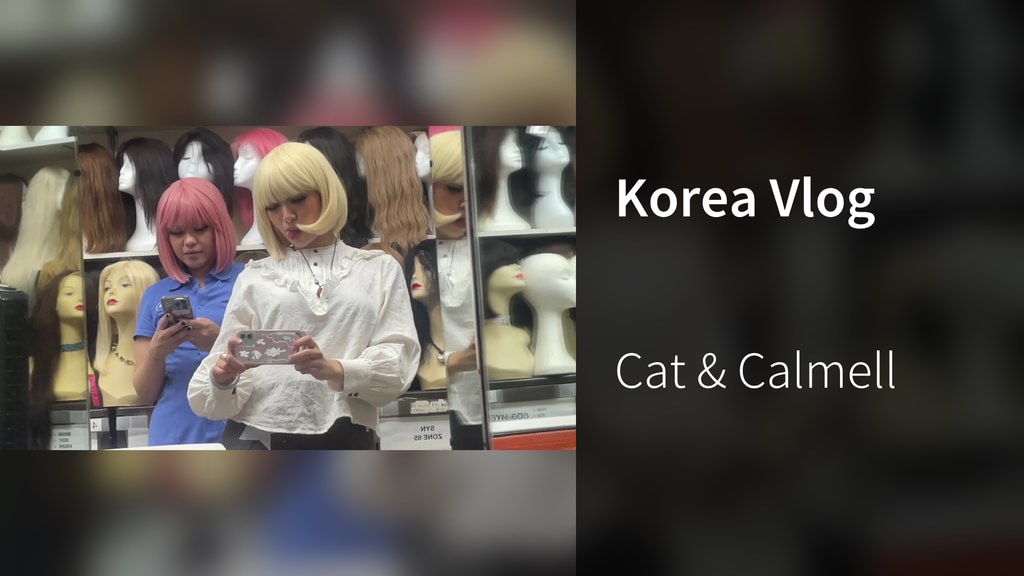 Korea Vlog(音楽・ライブ / 2023) - 動画配信 | U-NEXT 31日間無料トライアル