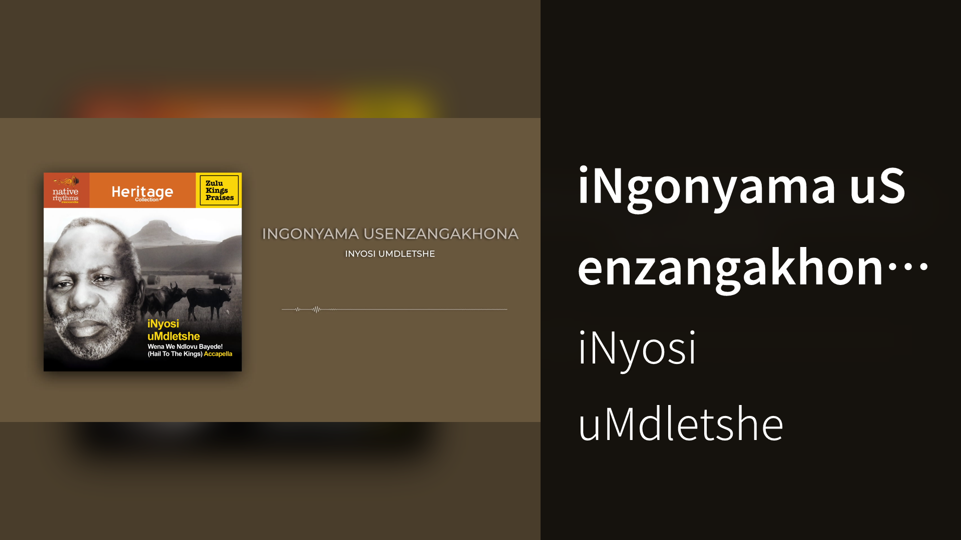 iNgonyama uSenzangakhona (Visualizer)(音楽・ライブ / 2024) - 動画配信 | U-NEXT 31 ...