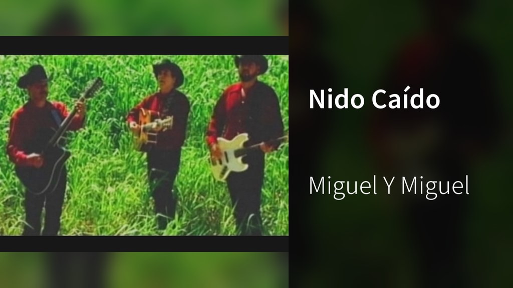 Nido Caído(音楽・ライブ / 2018) - 動画配信 | U-NEXT 31日間無料トライアル